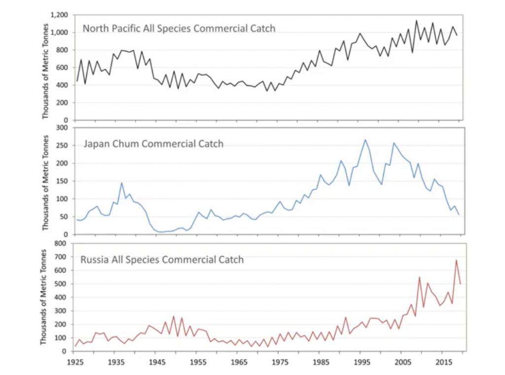 Preliminary Results of 2020 Gulf of Alaska Expedition Announced ...
