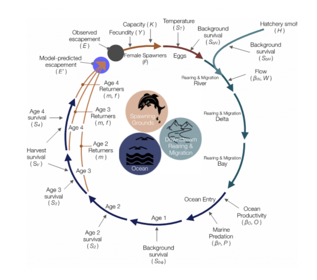 LSF chart – International Year of the Salmon