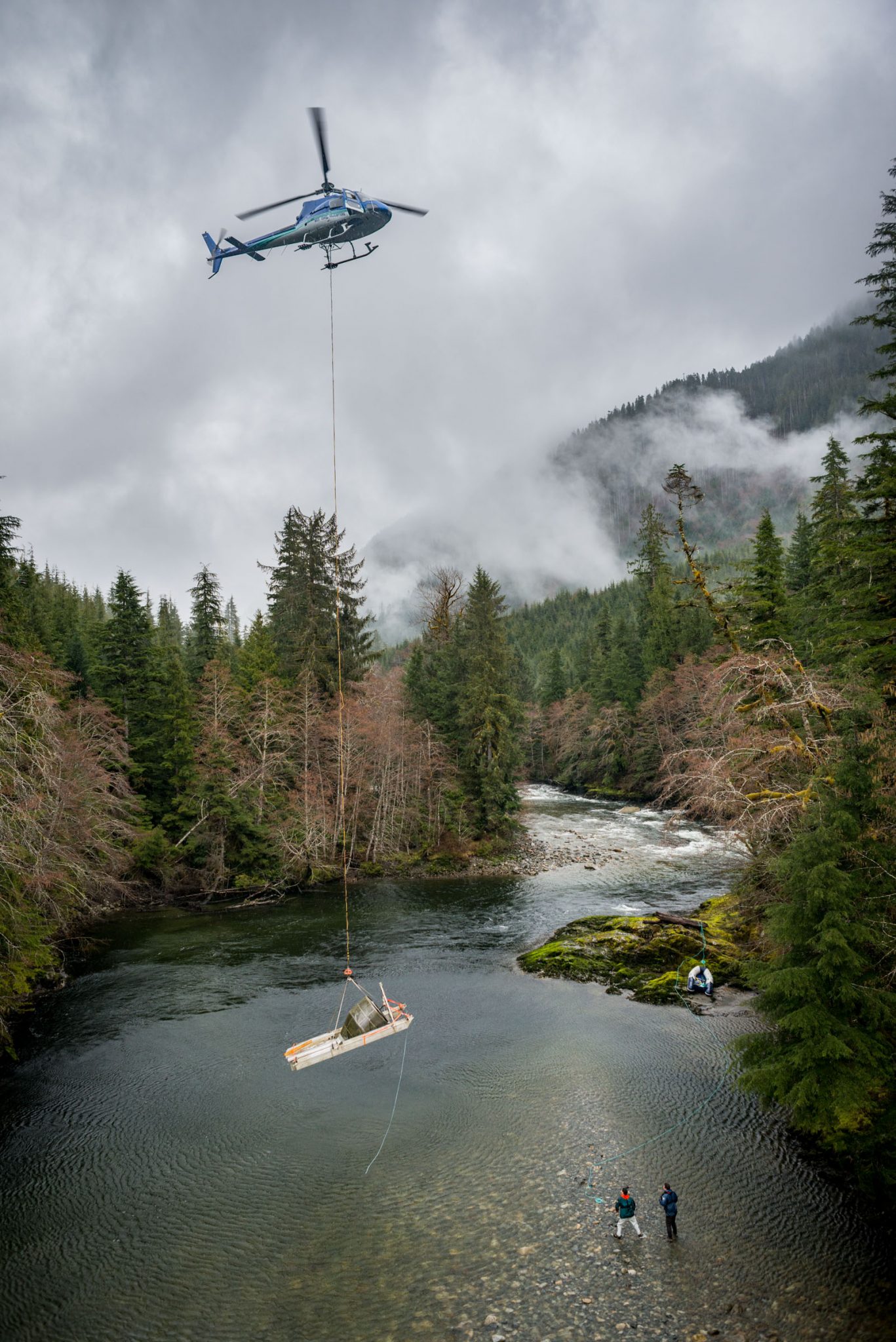 flying-in-rotary-screw-trap – International Year of the Salmon