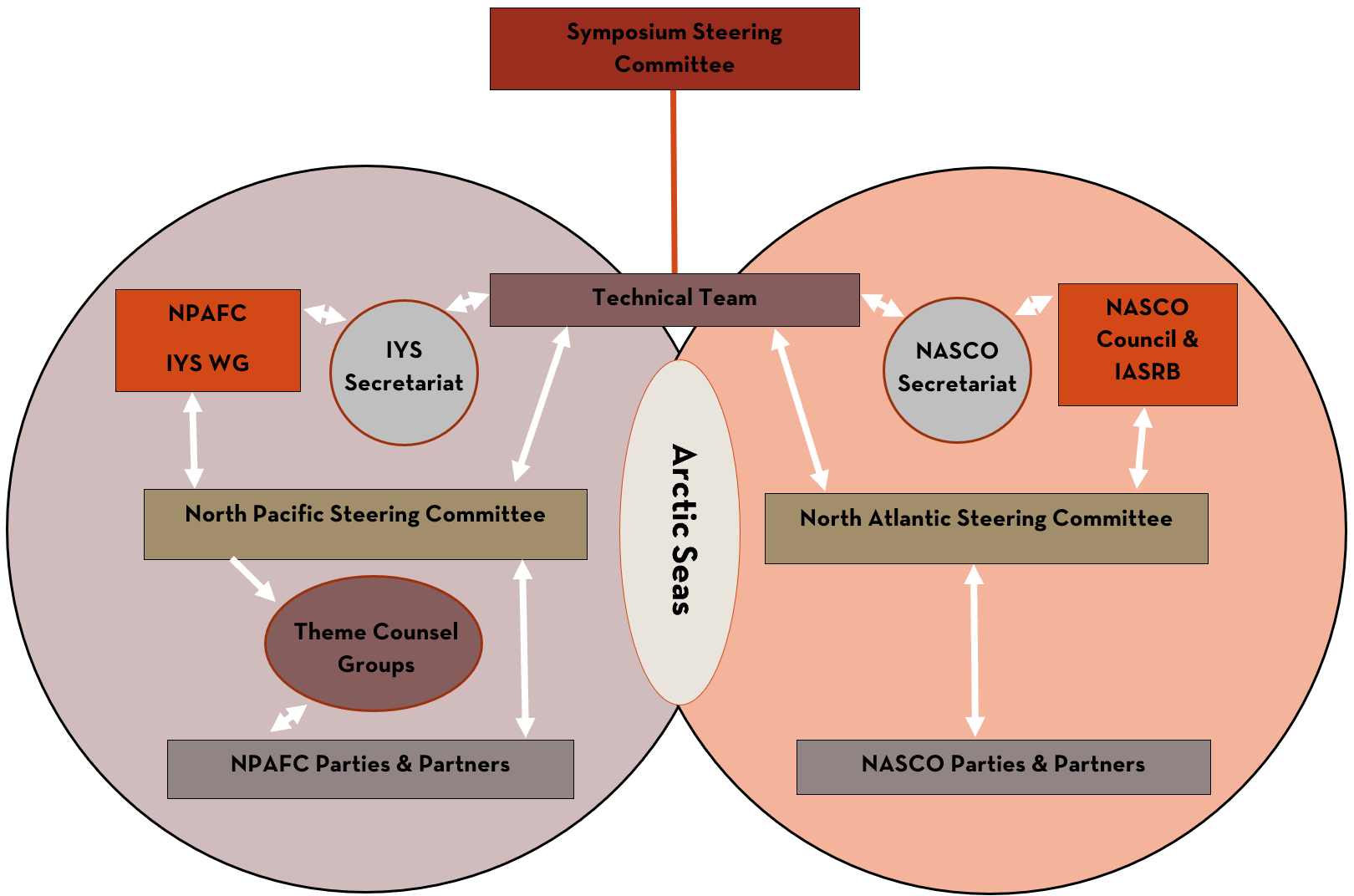 iys governance dec 2020 – International Year of the Salmon