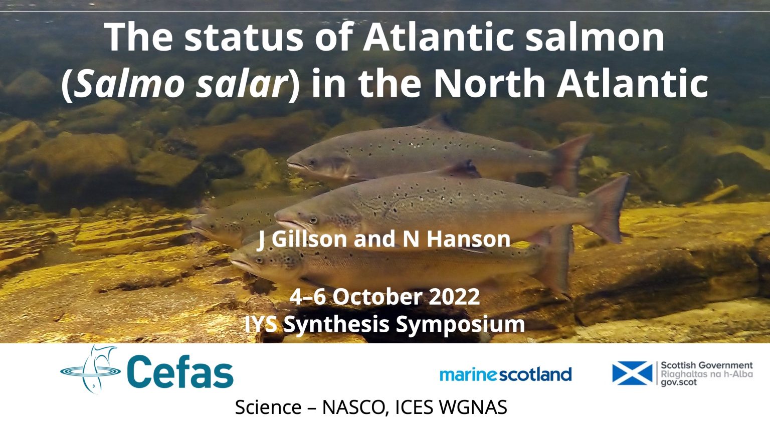 Live Presentation Slide-Decks – International Year of the Salmon